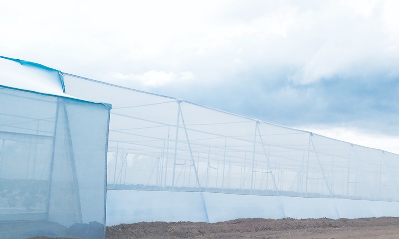 Agriculture Shade Nets for Healthy Crop Cultivation | Garwarefibres