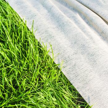 Geonet | Garware Technical Fibres Ltd.