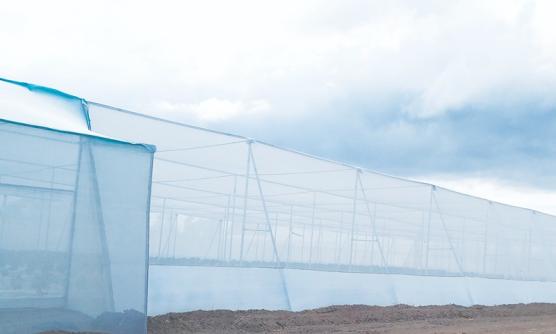 Agricultural Netting & Fencing | Crop Protection Net Solutions